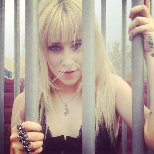 Haley Rose's Instagram, Twitter & Facebook on IDCrawl